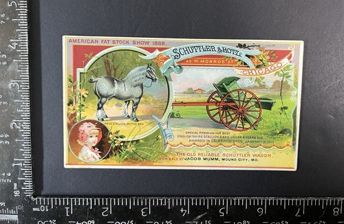 AMERICAN FAT STOCK SHOW – 1886 | eBay