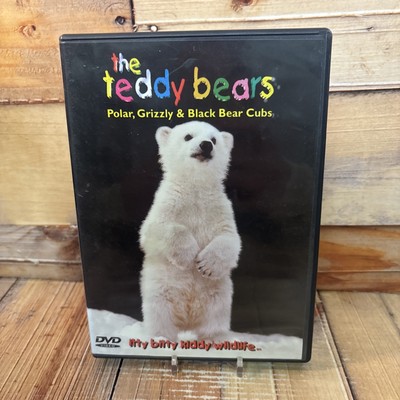 The Teddy Bears DVD Used | eBay