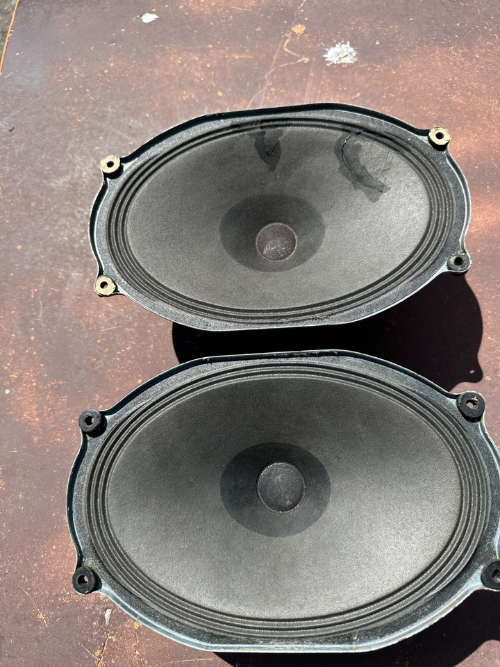 pair Isophon 25x16cm Berlin Alnico magnet full range speaker vintage ...