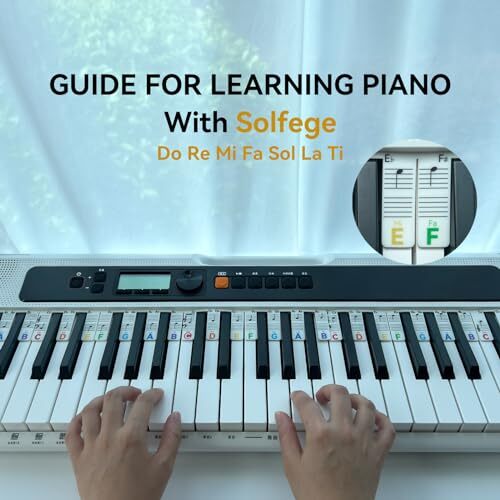 Piano Note Strips with Solfege (Do Re Mi…), Fit 61/54/49 Key 61Key ...