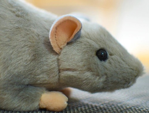 2pcs Rat Mouse 6.5 inch Stuffed Animal Plush Toys Toddler Doll Kids ...