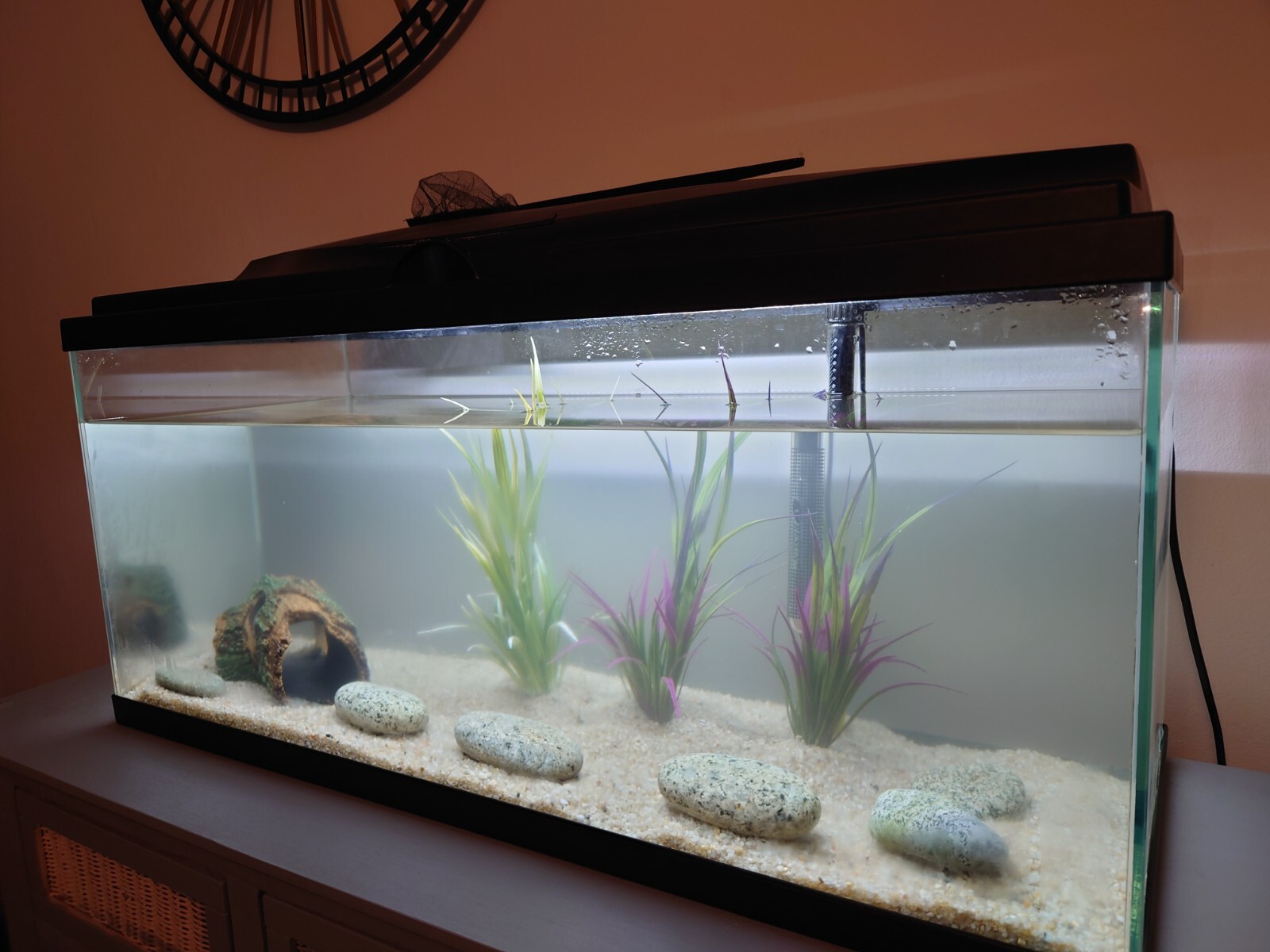 75L fish tank | eBay UK