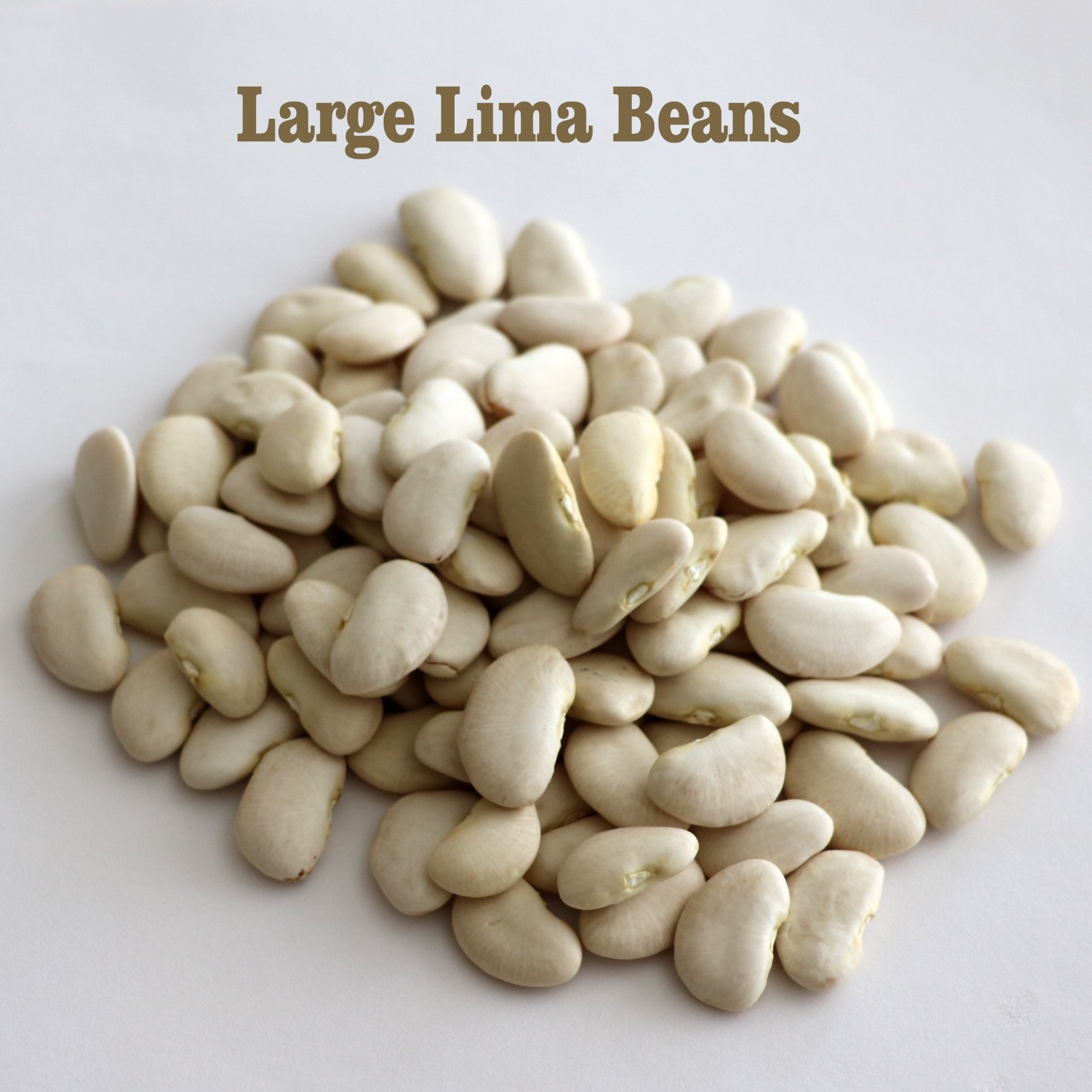 Grown Organic large lima beans bulk 4 OZ- 10 lb free shipping | eBay
