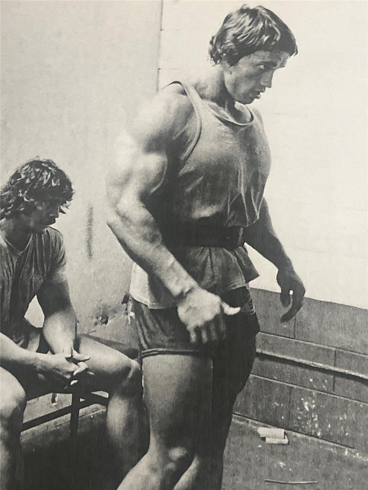 ARNOLD SCHWARZENEGGER & DENNY GABLE bodybuilding muscle photo (rp) | eBay