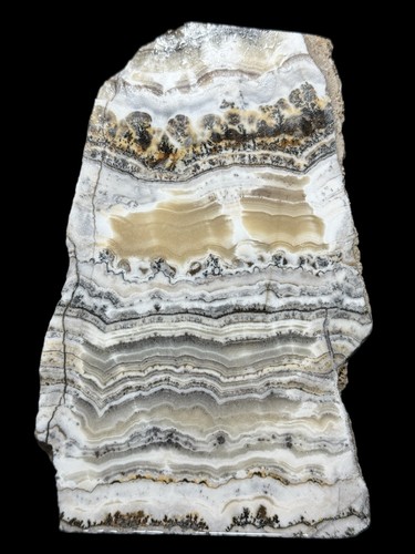 SILVER LACE ONYX SLAB - Lapidary Unpolished Crystal Rough Rock Mineral ...