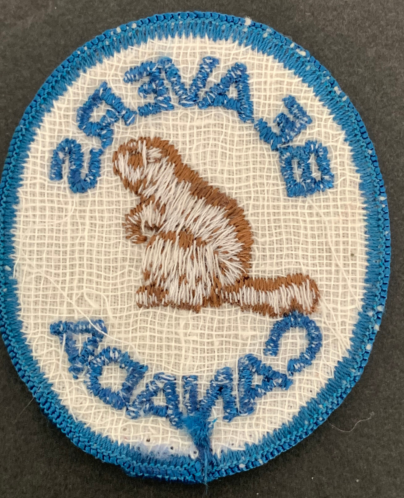Scouts Canada Beavers Patches | eBay