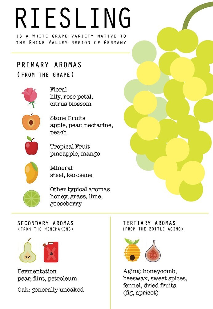 Riesling Grapes 3 Indigenous Grape Varieties From Valais