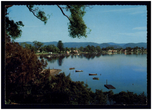 Postcard RPPC (Murray Views) - Woy Woy, New South Wales, N.S.W. | eBay