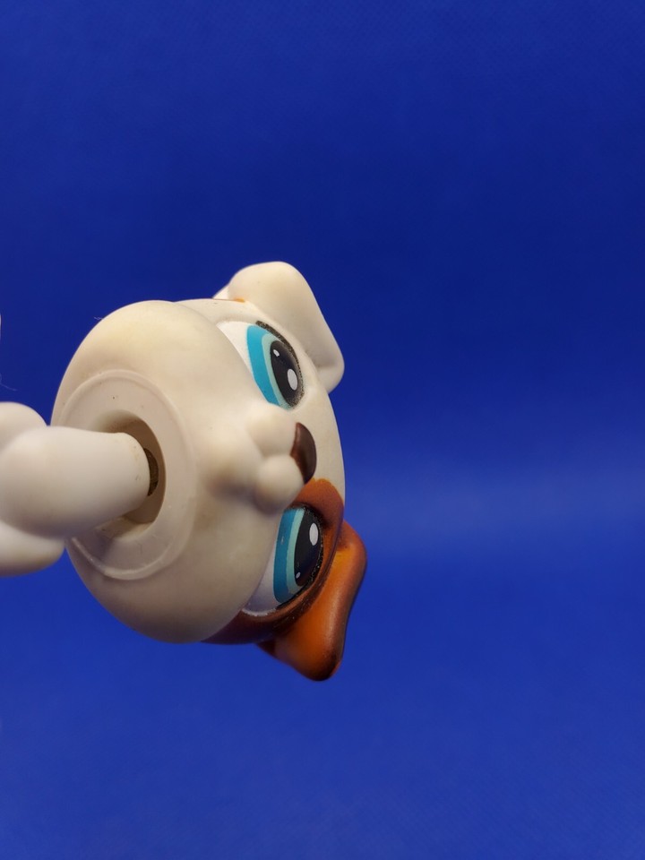 Littlest Pet Shop Squeaky Clean Pets LPS Hasbro 149 Turtle 151 Jack ...