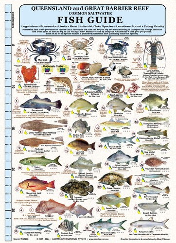 Queensland & Great Barrier Reef Handy Fish Identification Card | eBay ...