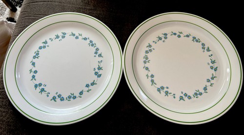2 Dinner Plates Corelle Forget Me Not 10 1/4" Blue Green Retired ...