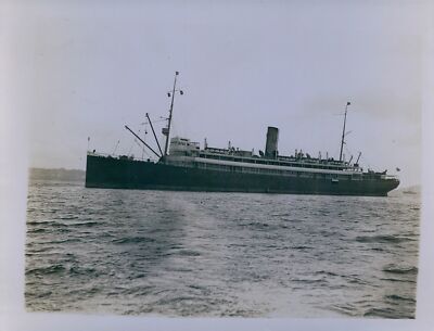 1931 Matson Steamer Ship SIERRA Press Photo | eBay UK