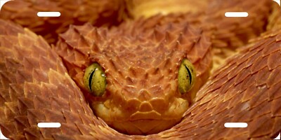 Snake, License Plate New Car Tag Metal Aluminum, USA | eBay