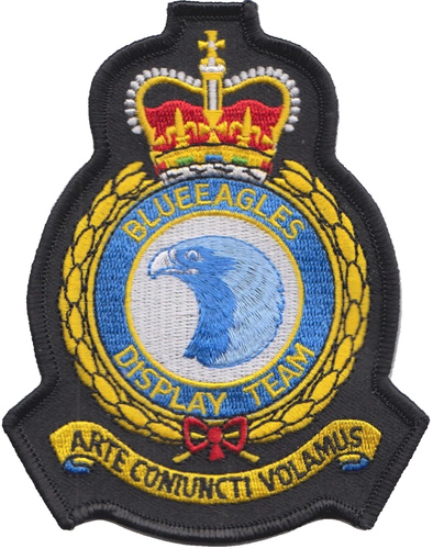 Blue Eagles Display Team British Army Air Corps AAC Crest MOD ...