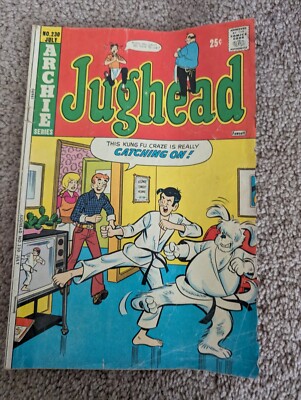 Jughead #230 (ARCHIE COMICS Publications, Inc. July 1974) | eBay