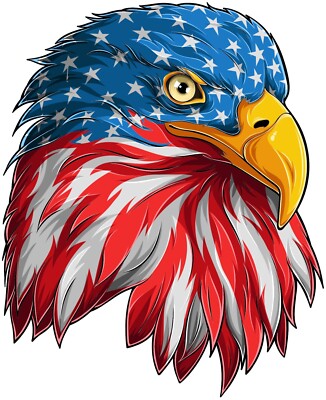 Flag Eagle Head Laminated Decal;with egress for bubble free Install | eBay