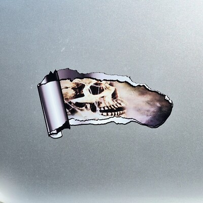 Skull in Cobwebs Ripped Metal Slash Vinyl Sticker Decal For Car Van ...