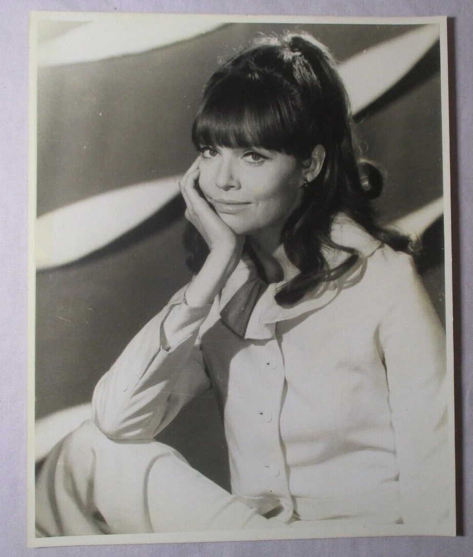 Barbara Feldon Agent 99