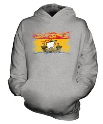 NEW BRUNSWICK DISTRESSED FLAG KIDS HOODIE TOP GIFT SHIRT CLOTHING ...