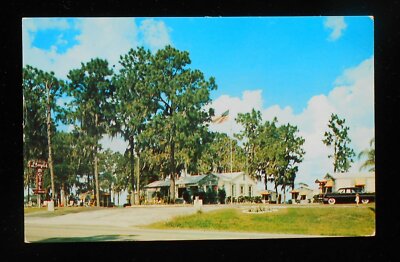 1950s Lloyds Pine Castle Motel Rt 92 Henrietta Selby Tampa Plant City ...