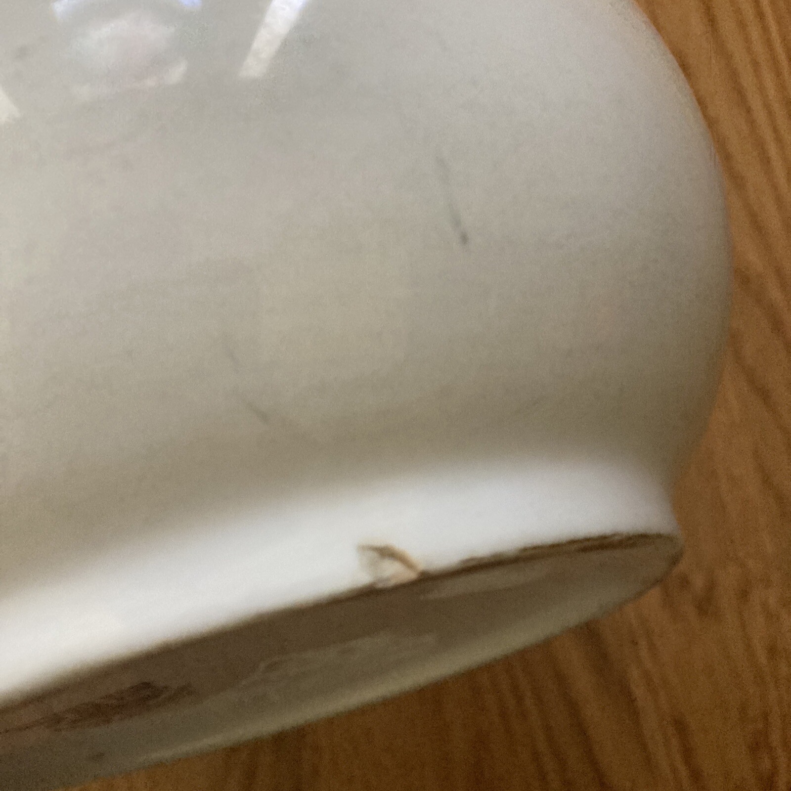 Antique Royal Warranted Ironstone China John Edwards White Lion Handle ...