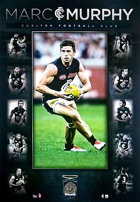 Marc Murphy Carlton Collage Official AFL Licensed Print Only or Framed ...