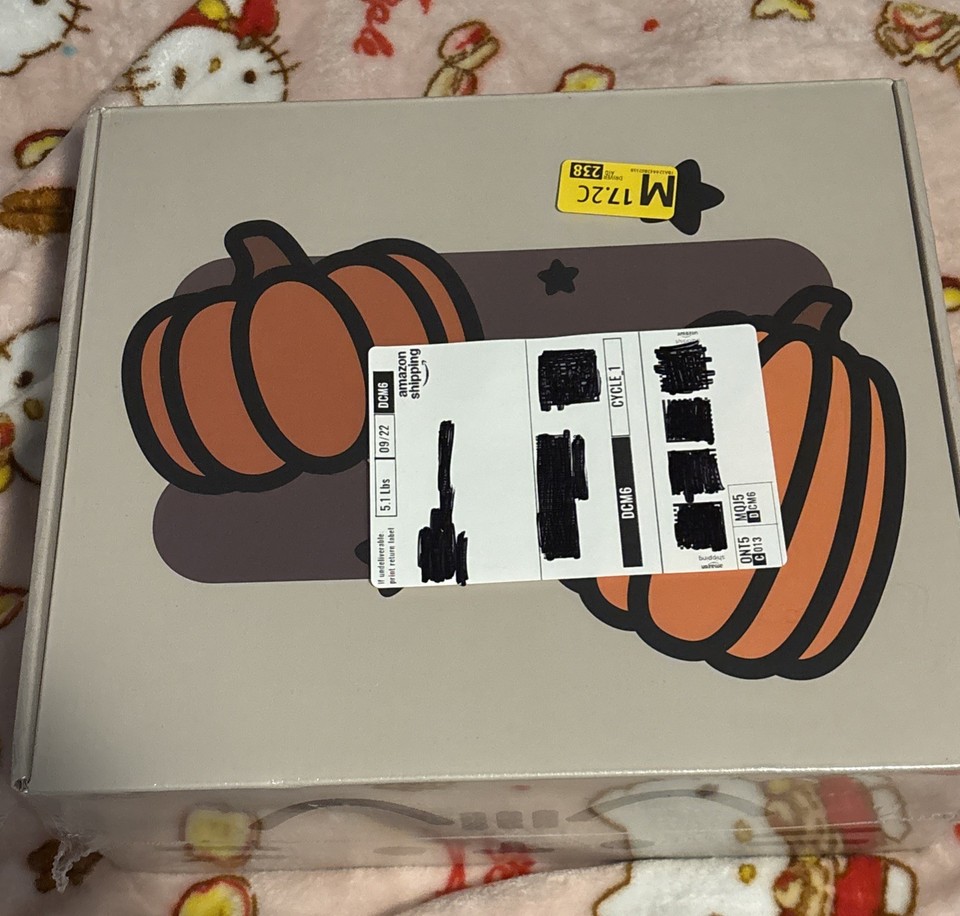Pusheen Box Fall 2025 Size L New All Items Halloween Pumpkin Cat ...