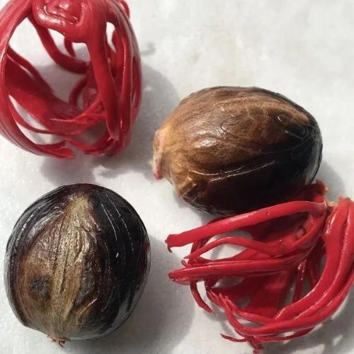 Ceylon Dried Nutmeg Mace Ayurveda Herbs herbal Spices Best Quality ...