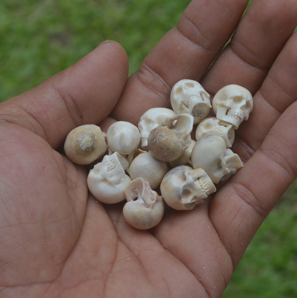 Skulls Carved Beads 13pcs Assorted Size 15-17mm in Height S701 in ...