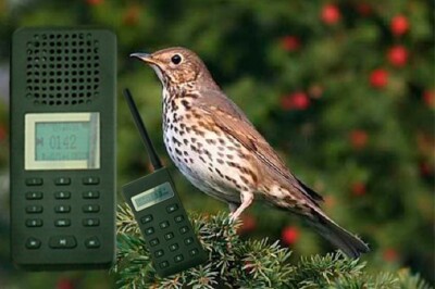Hunting Electronic Bird Caller Bird Call Decoy Player W/Remote Control ...