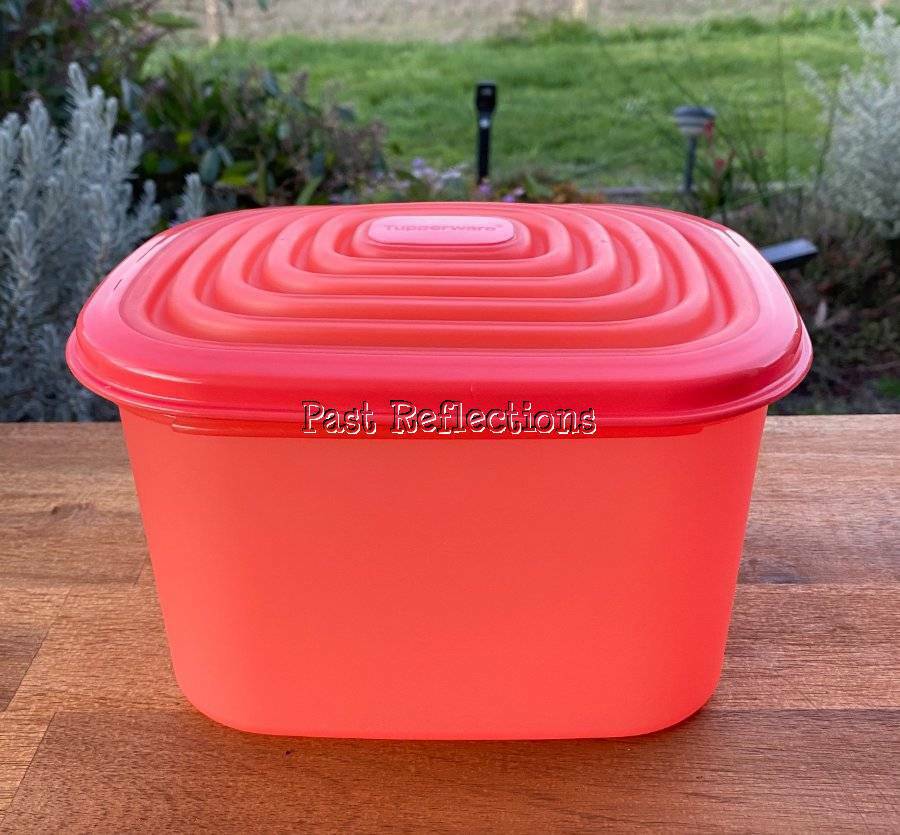 TUPPERWARE MINI RECTANGLE MODULAR MATES STUFFABLES STUFFABLE SET ...