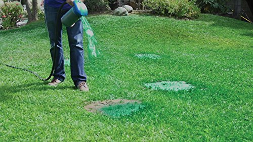 Liquid Lawn Hydroseeding Kit - Covers 100 sq. ft.Eco-friendly Spray n ...