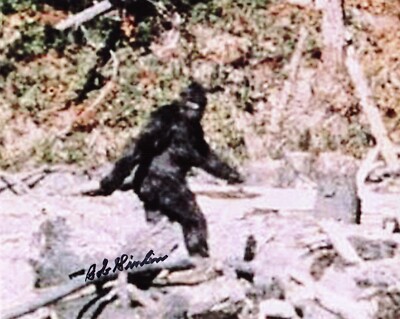 Bob Robert Gimlin Bigfoot 1967 Film Signed Autographed 8x10 Photo ...