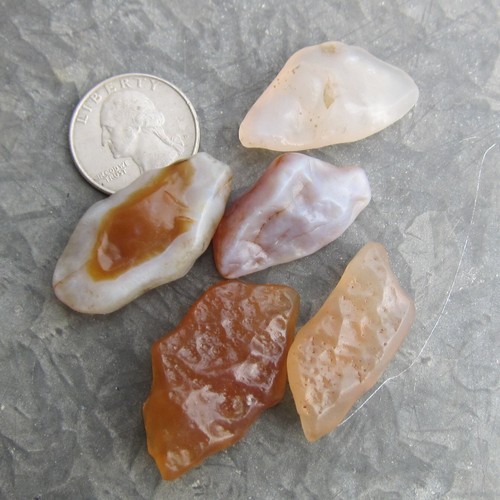 5PCS Natural Gobi agate/Jasper stone for Bonsai Suiseki gm937 | eBay