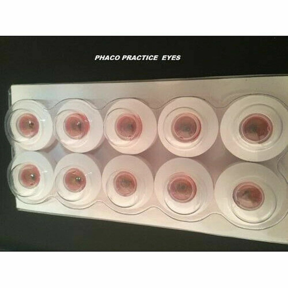Phaco Practice Eyes 10 pcs Eyes with stand | eBay