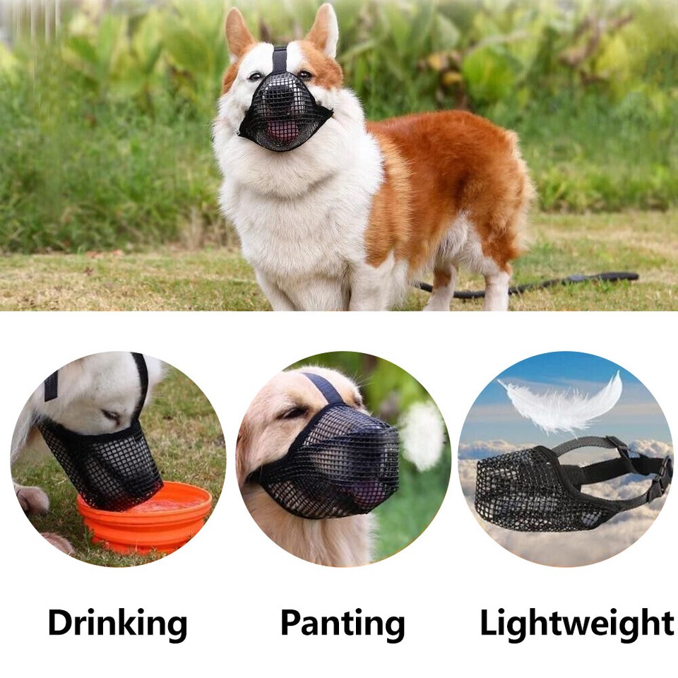 Pet Dog Muzzle Anti-lick Anti-Biting Chewing Bark Licking Mouth Cover ...