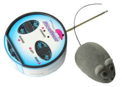 RC Maus ferngesteuerte Spielzeug Maus Katzenspielzeug Katze *NEU* | eBay.de