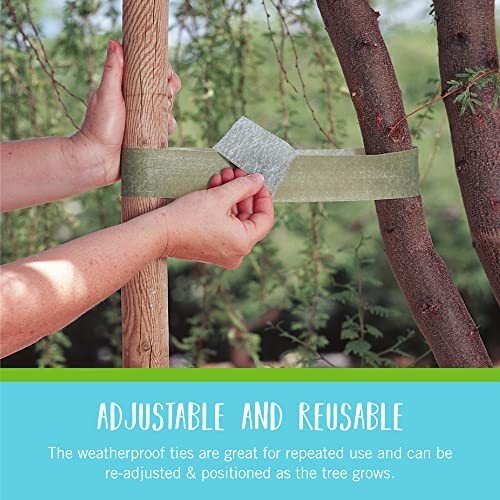 VELCRO Brand ONE-WRAP Ties | Tree and Plant Supports for Effective ...