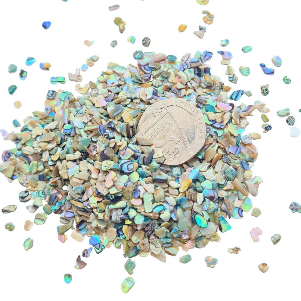 900pcs Tiny Abalone NZ Paua Shell Pieces 20g Tiny Resin Art Shell Craft ...