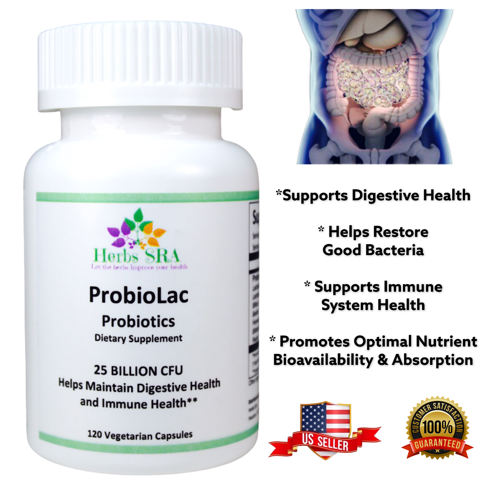LACTOBACILLUS FERMENTUM, BIFIDOBACTERIUM BREVE, 120 capsules, Digestive ...