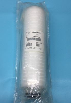 PALL FLUORODYNE AB1V0023EYHF FILTER 0.2um, 116865 | eBay