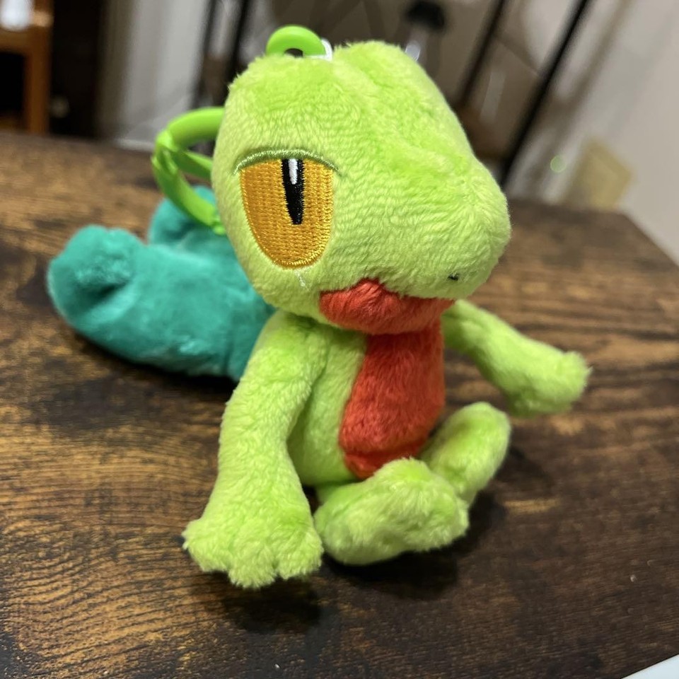 Pokemon Center Carabiner Mascot Treecko Key Chain | eBay Australia
