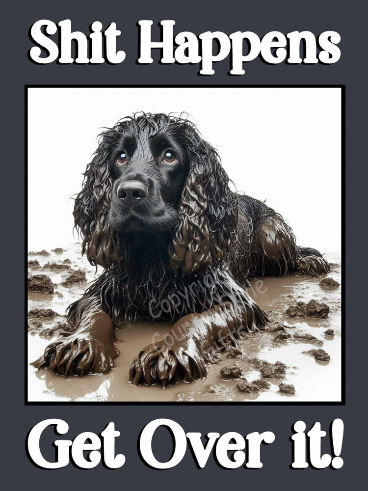 Cocker Spaniel Memes Three Golden Cocker Spaniel Puppies Round Beach