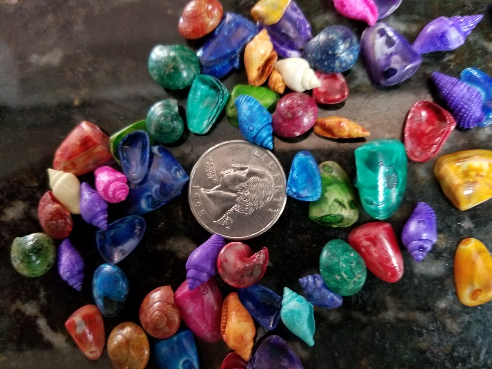 Lot of Dyed, Multi-colored Mixed Sea Shells 6+ oz for Crafts or Coastal ...