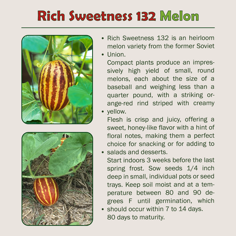 20 Rich Sweetness 132 Melon Seeds, Heirloom, Non-GMO, Genuine USA | eBay
