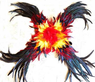 Fire Phoenix WINGS Runway Model Huge FABULOUS WINGS 45"X34" NEW | eBay