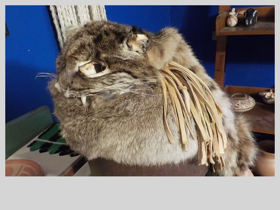 Native American bobcat Pelt Headdress c. 1990 beadwork suede lined ...