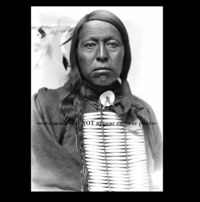 1898 Chief Flying Hawk PHOTO Battle Little Big Horn, Custer's Last ...