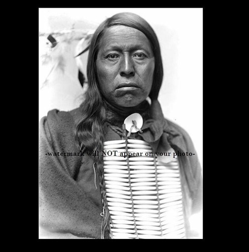 1898 Chief Flying Hawk PHOTO Battle Little Big Horn, Custer's Last ...