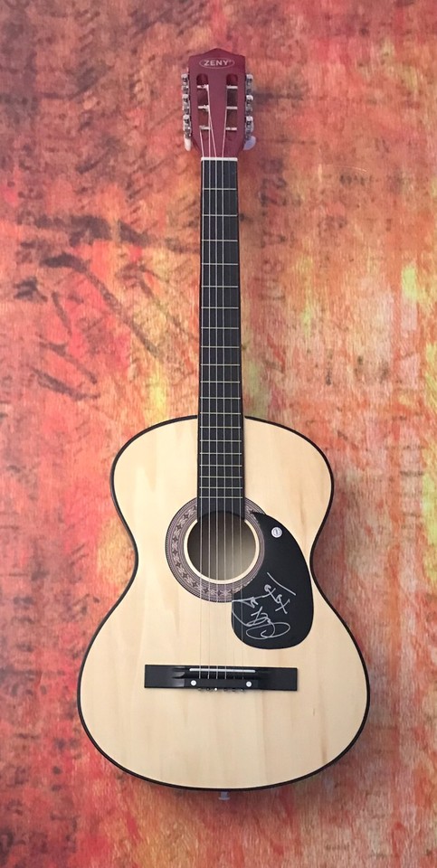 GFA Toto Co-Founder Band Africa DAVID PAICH Signed Acoustic Guitar COA ...